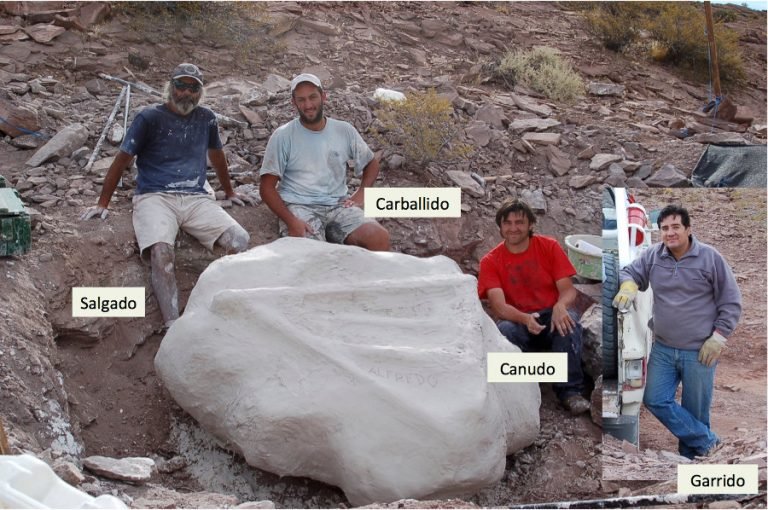 Lavocatisaurus_equipo | MEF